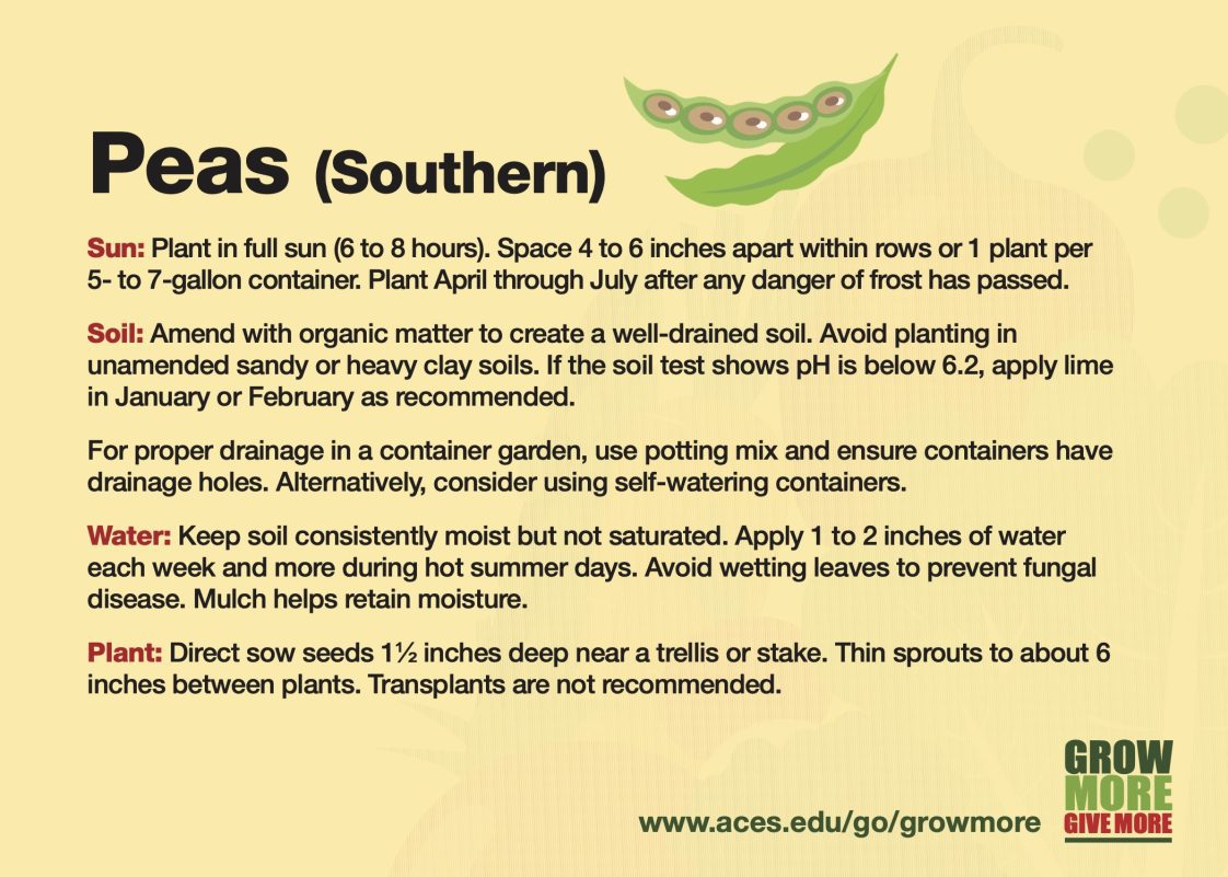 Grow More Peas (Southern) - Alabama Cooperative Extension System