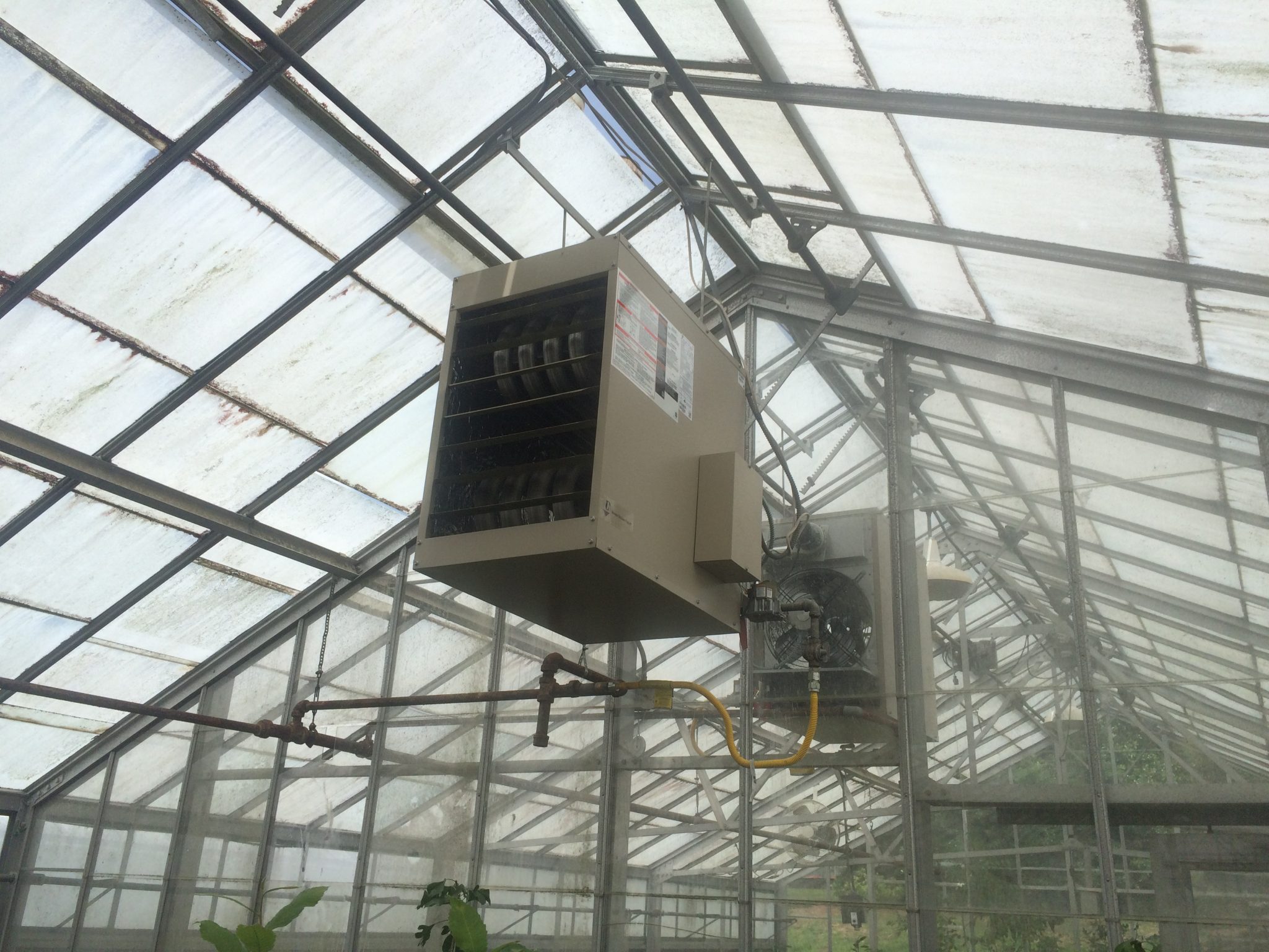 Controlling the Greenhouse Environment for Vegetable Crops - Alabama ...