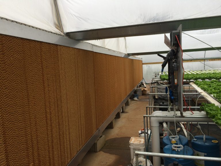 Controlling the Greenhouse Environment for Vegetable Crops - Alabama ...