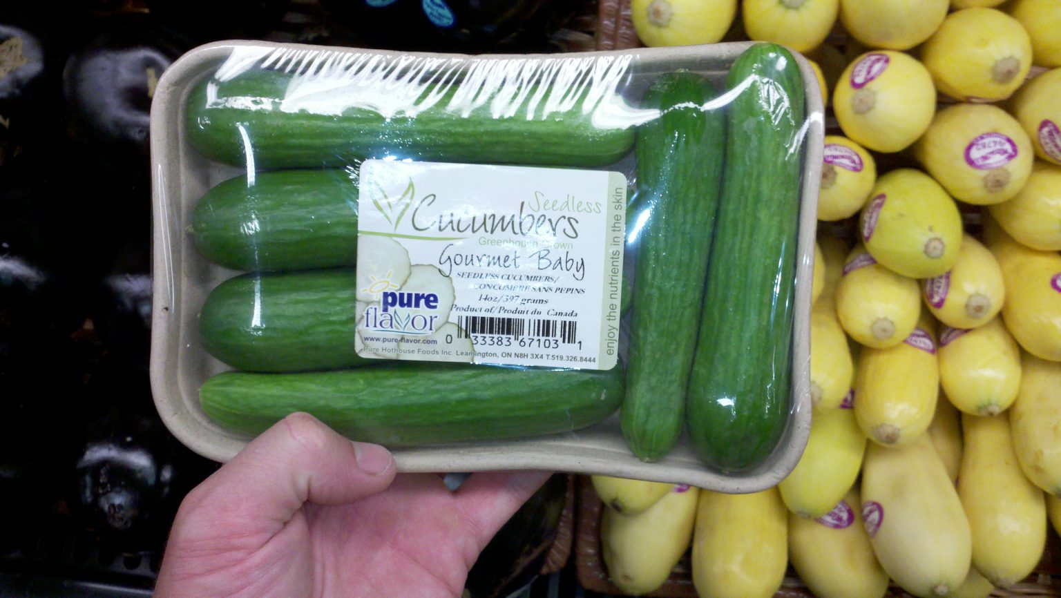 Greenhouse Cucumber Production - Alabama Cooperative Extension System