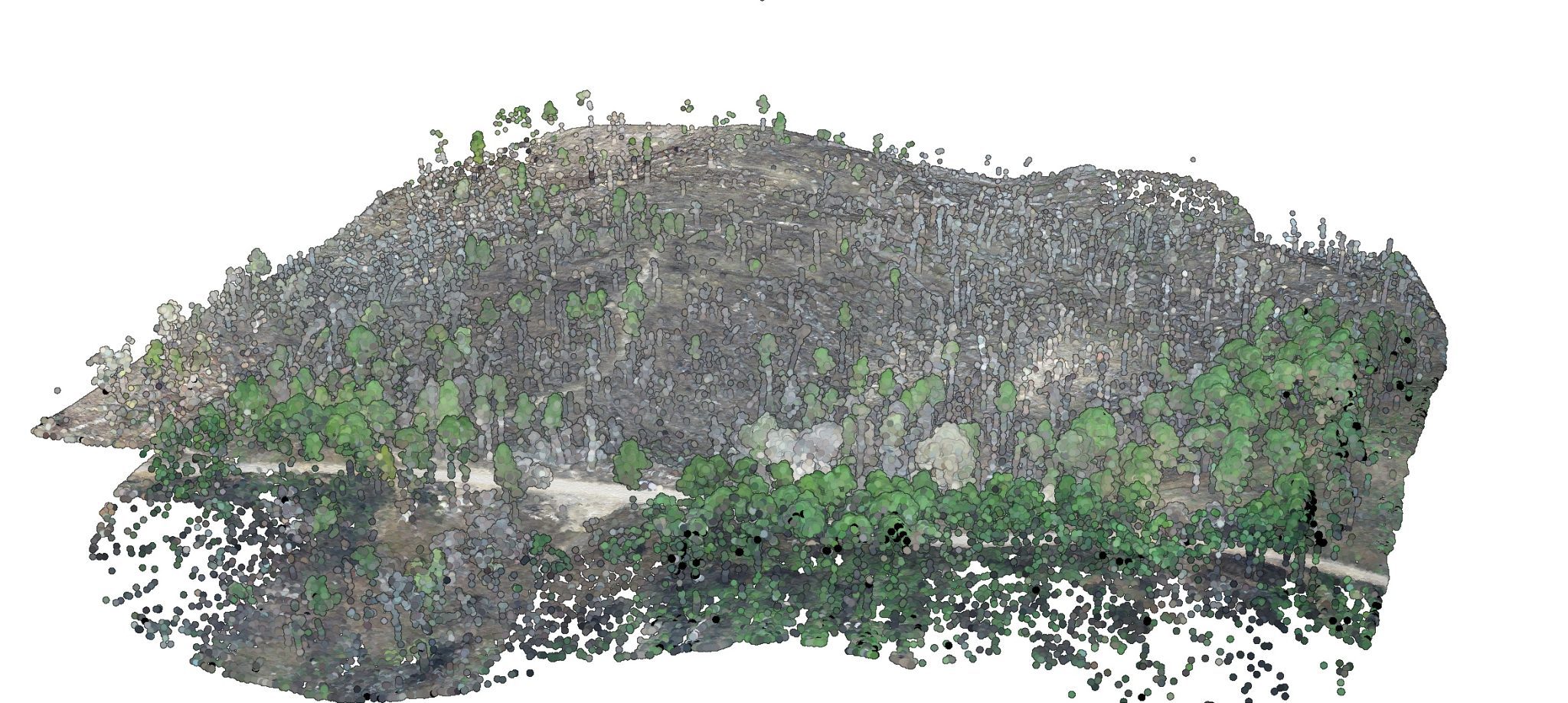 Application of LiDAR in Forest Management - Alabama Cooperative ...