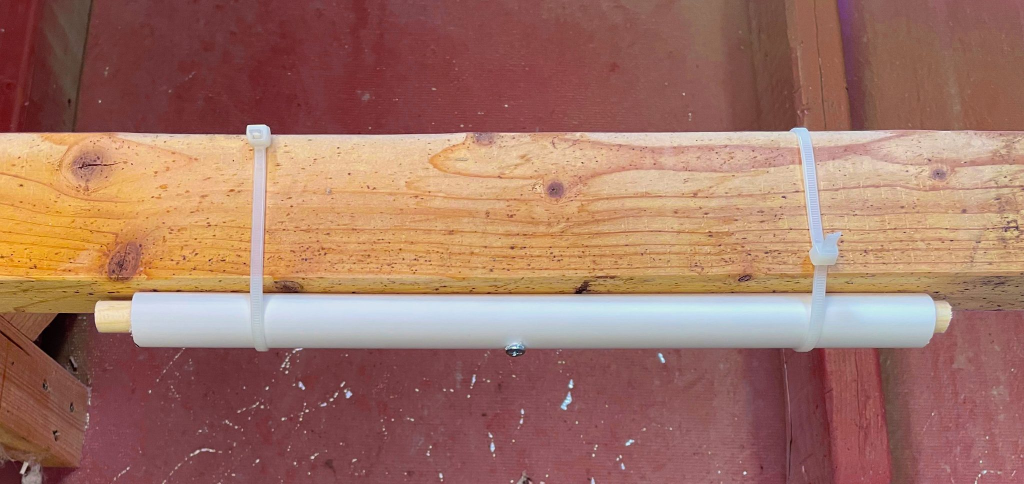 Poultry Red Mites: Identification, Prevention, and Treatment - Alabama ...