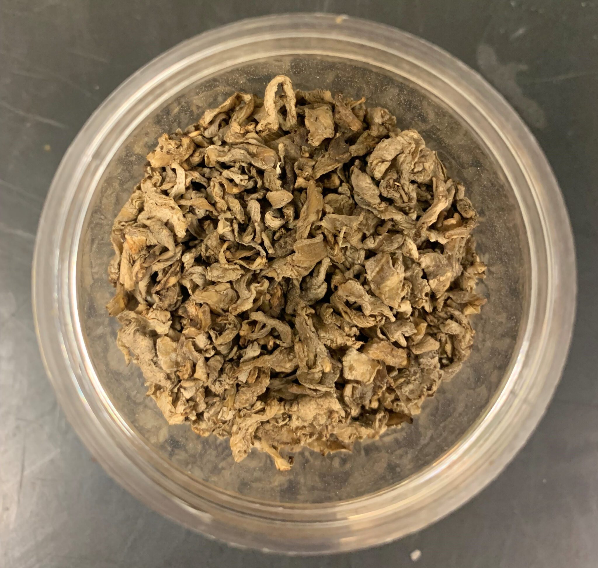 Byproduct Feeds for Alabama Beef Cattle Operations - Alabama ...