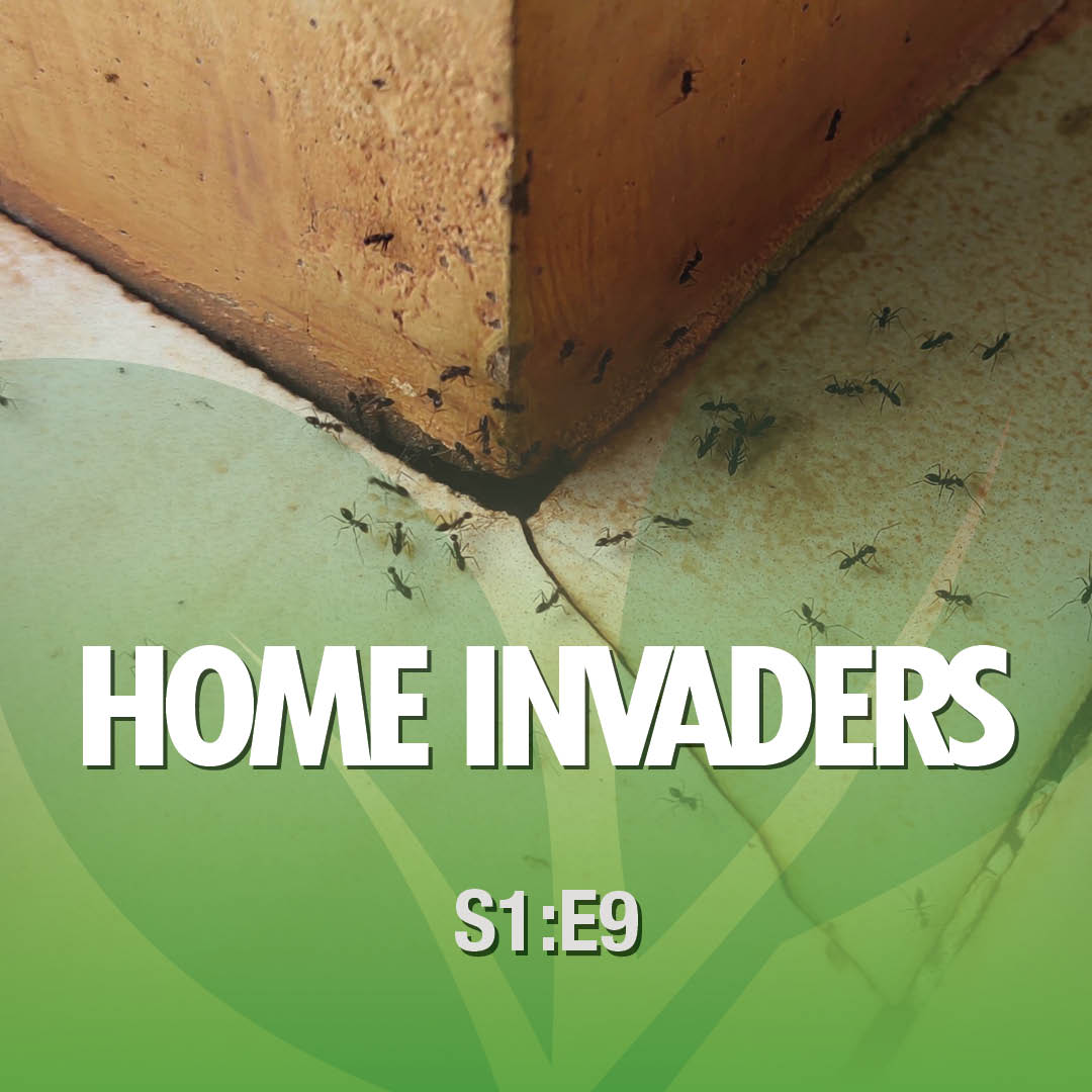 Season 1 Episode 9 – Home Invaders - Alabama Cooperative Extension System