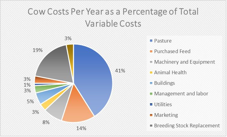 Managing Your Cowherd: Strategies to Lower Cow-Calf Production Costs - Beef Web