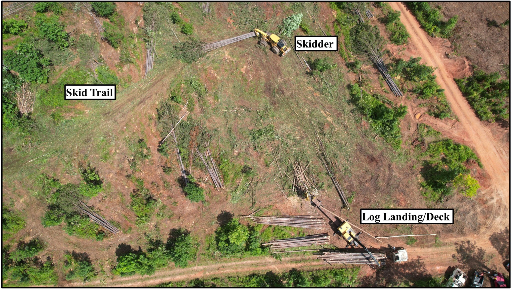 Forestry Best Management Practices: Skid Trails - Alabama Cooperative ...