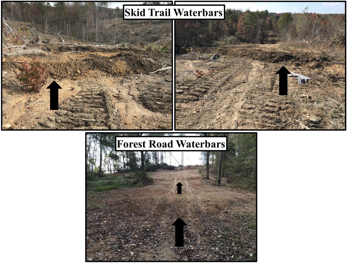 Forestry Best Management Practices: Skid Trails - Alabama Cooperative ...