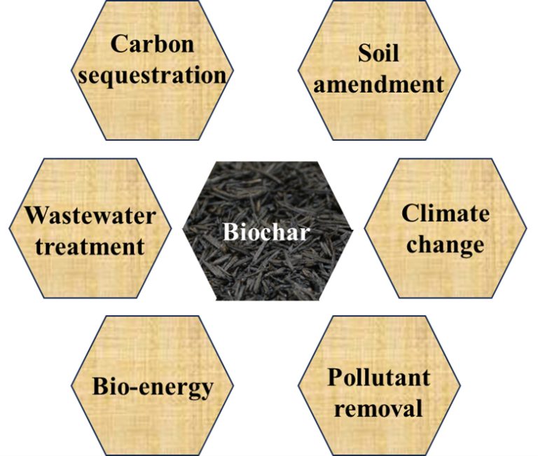 Application of Biochar in Agricultural Systems - Alabama Cooperative ...