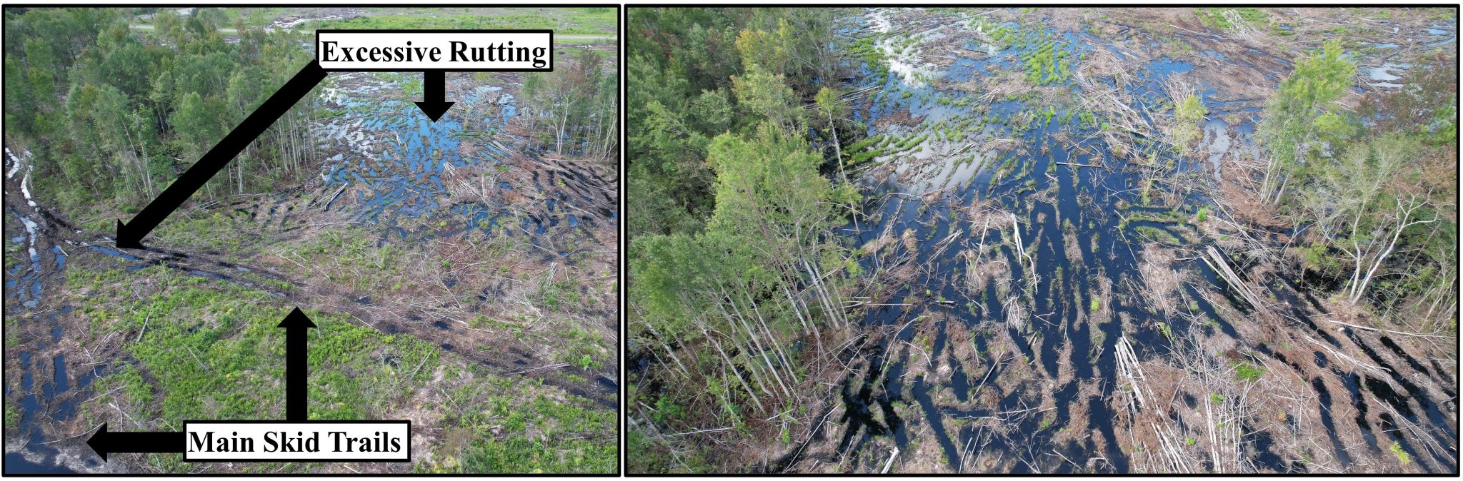 Forestry Best Management Practices: Skid Trails - Alabama Cooperative ...