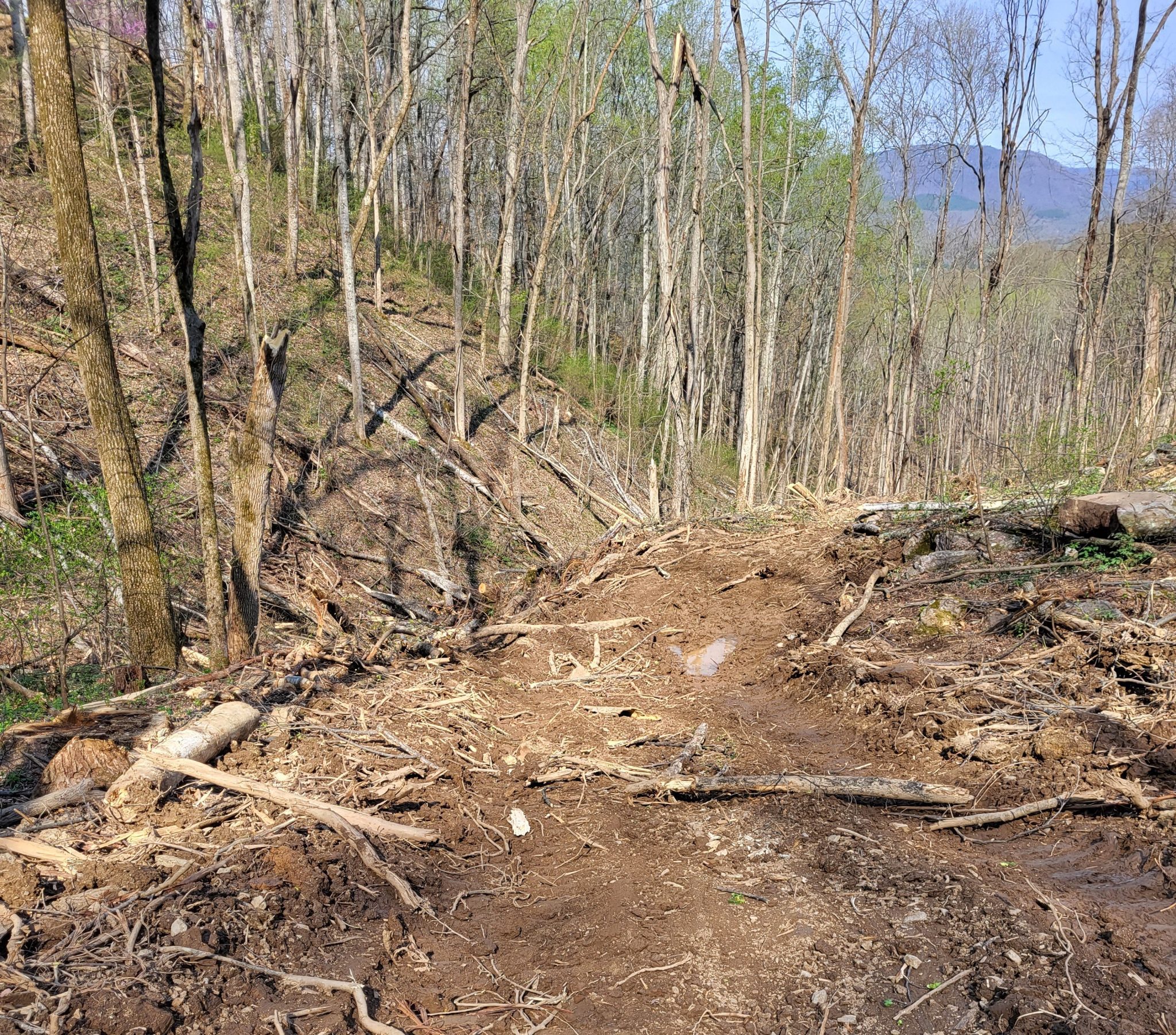 Forestry Best Management Practices: Skid Trails - Alabama Cooperative ...