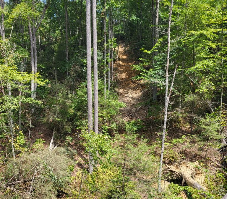 Forestry Best Management Practices: Skid Trails - Alabama Cooperative ...