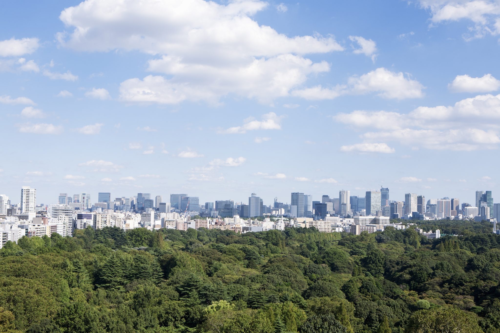 Economic and Socio-Ecological Importance of Urban Forest Carbon Stocks ...