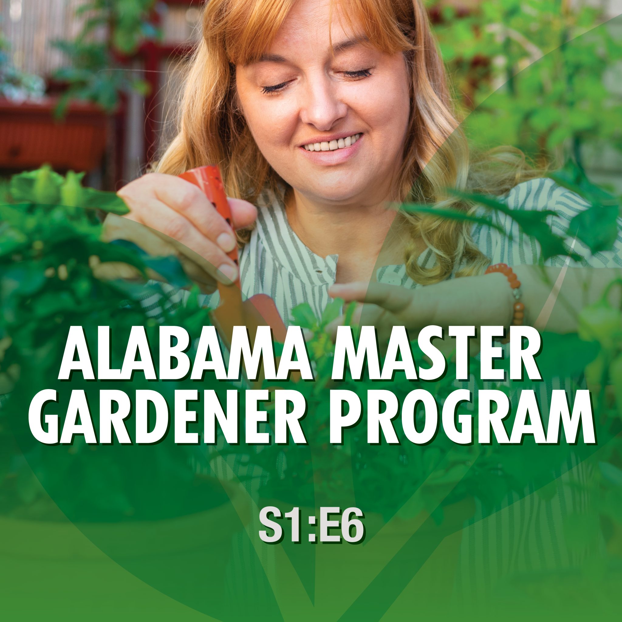 From the Ground Up Archives - Alabama Cooperative Extension System