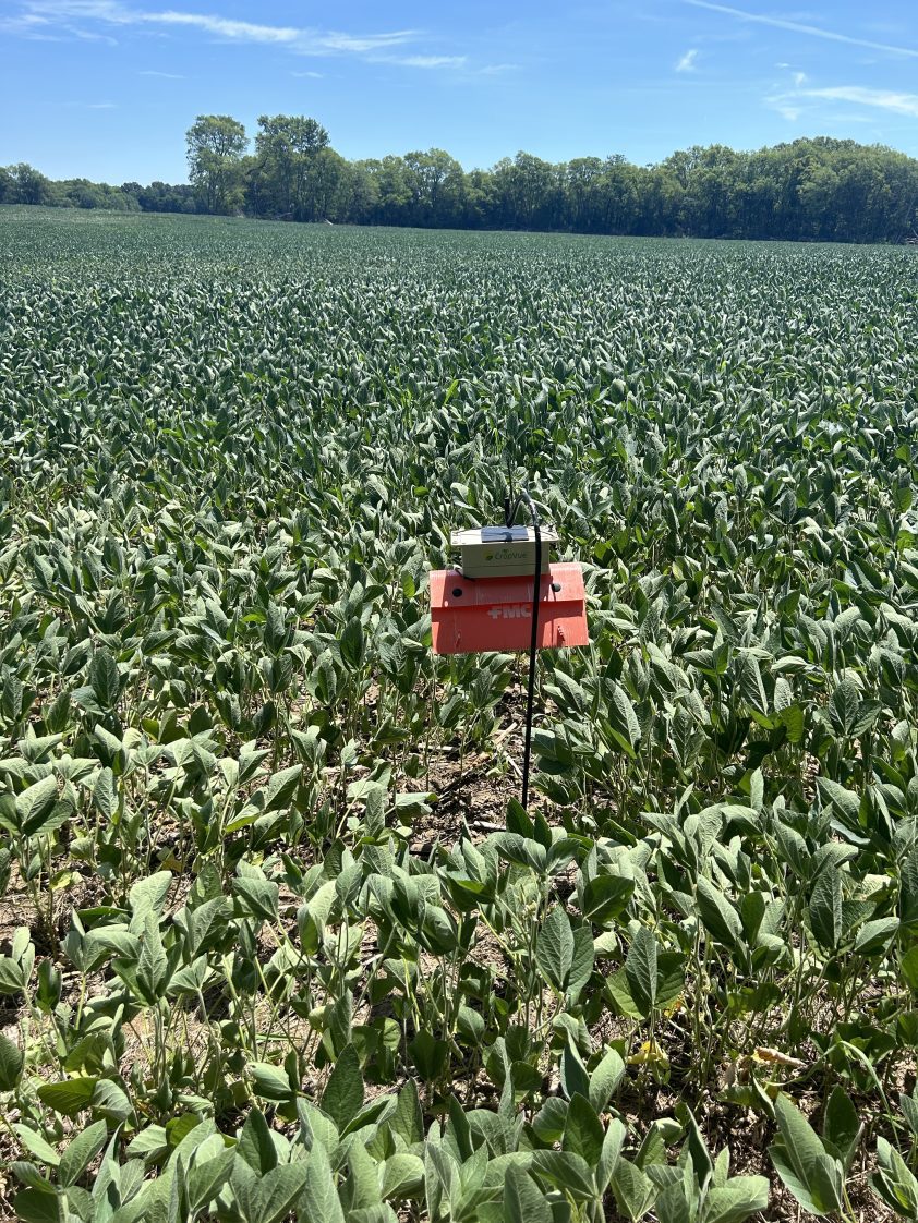 Raptor Trek - Alabama Cooperative Extension System