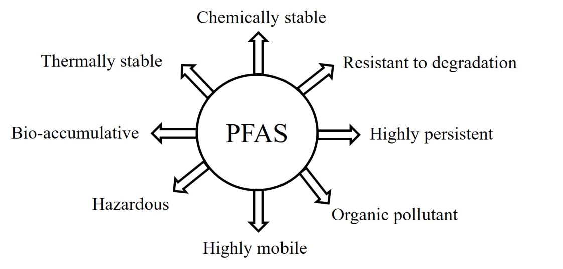 Per- & Polyfluoroalkyl Substances in the Environment: Sources, Health Effects & Remediation ...