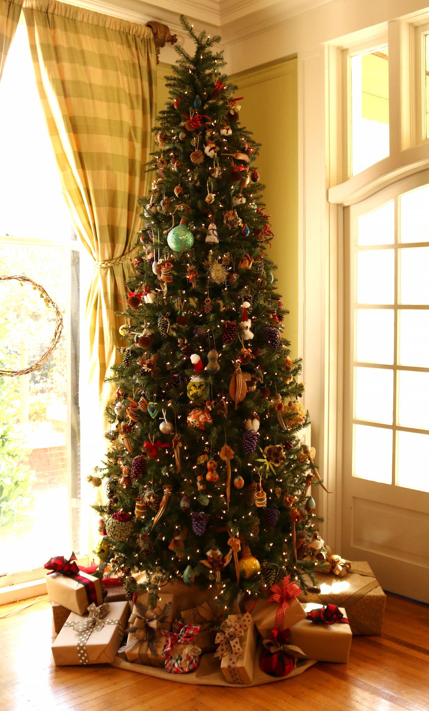 Christmas Tree Selection and Maintenance - Alabama Cooperative ...