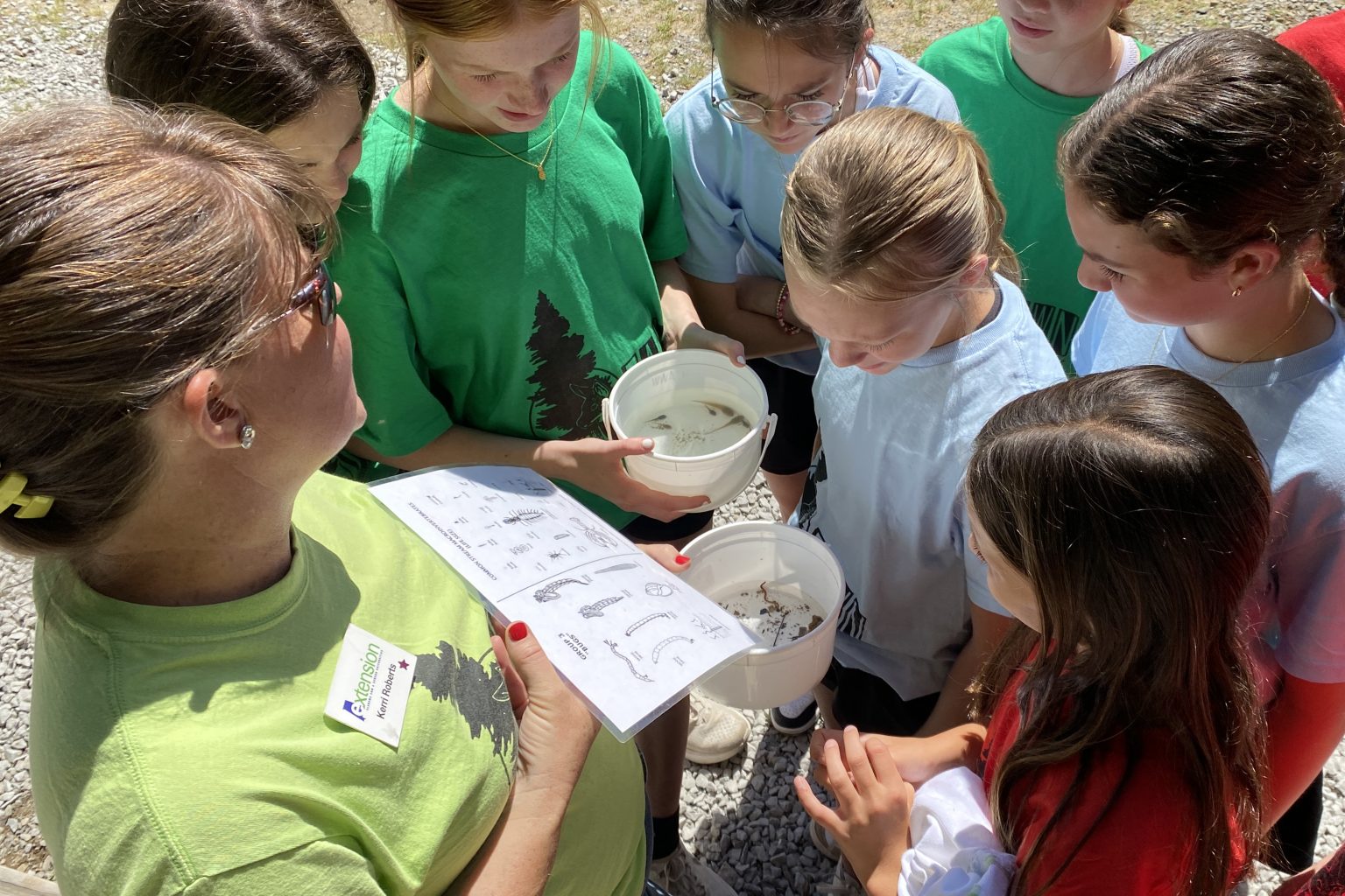 Extension Employees Play Major Part In Forestry Education - Alabama Cooperative Extension System