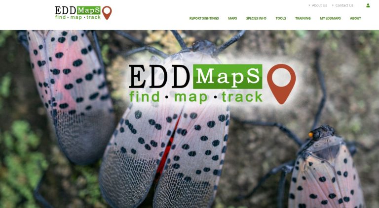 iNaturalist or EDDMapS? Where to Share Your Biodiversity Observations ...