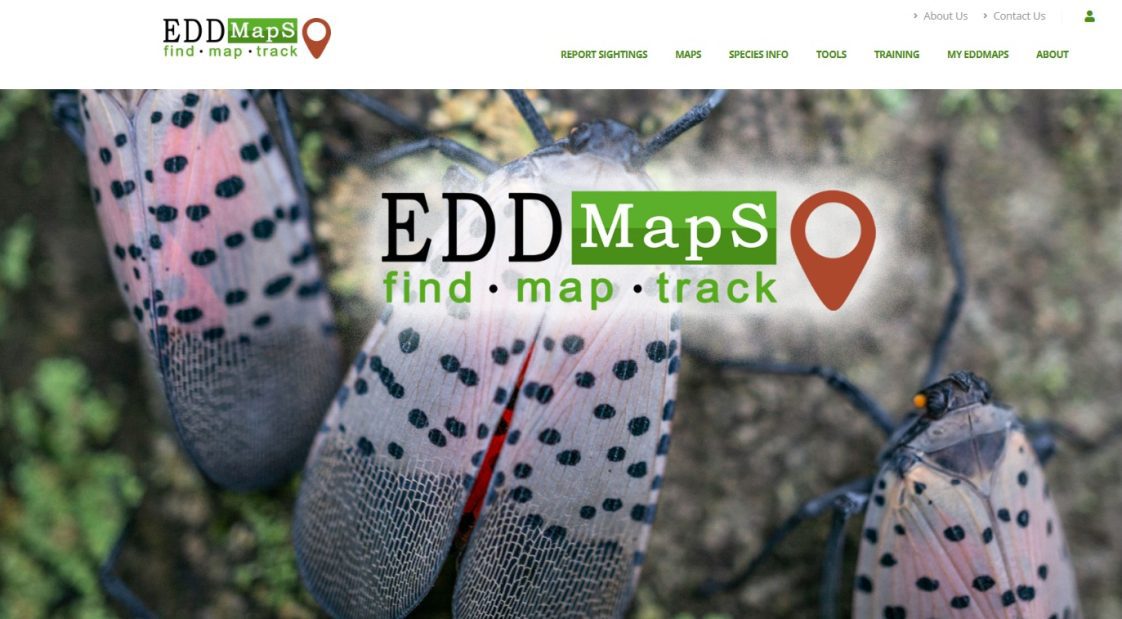 iNaturalist or EDDMapS? Where to Share Your Biodiversity Observations - Alabama Cooperative ...