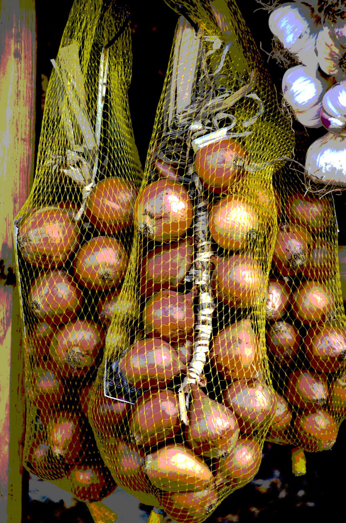 Beauty Below the Surface: Guide to Planting Bulbs - Alabama Cooperative ...